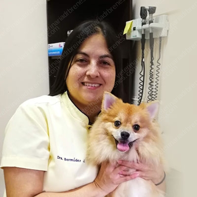 Oftalmología • Veterinaria Dr. Brenes